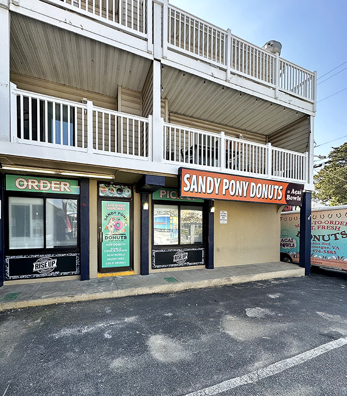 Beach vibes and fresh donuts – Sandy Pony proves paradise comes in circular form with sprinkles on top.