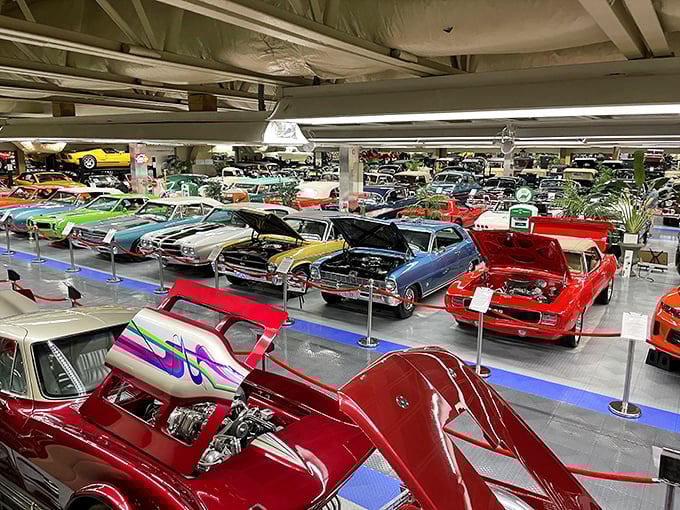 More cars than you can count! The Tallahassee Automobile Museum's massive collection stretches as far as the eye can see.