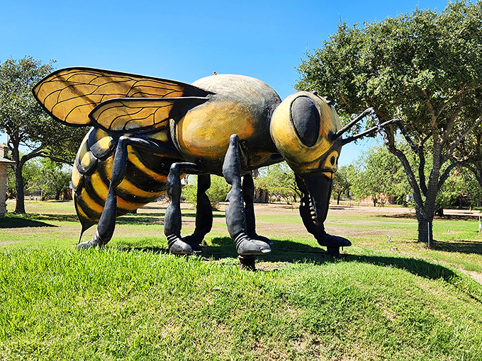 The buzz about town! Hidalgo's giant killer bee sculpture turns a feared insect into a beloved local mascot.