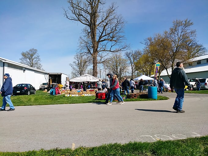 A sunny day at Tiffin&rsquo;s Flea Market &mdash; where treasure hunters gather to browse unique finds, antiques, and hidden treasures.