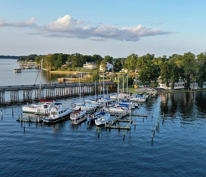Sailboats bob like they’re humming a tune, and honestly? It’s probably a Jimmy Buffett deep cut.