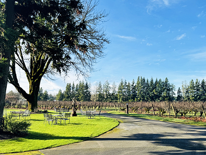 Vineyards near Beaverton bask in golden sunshine, promising bottles of liquid Oregon sunshine to come.