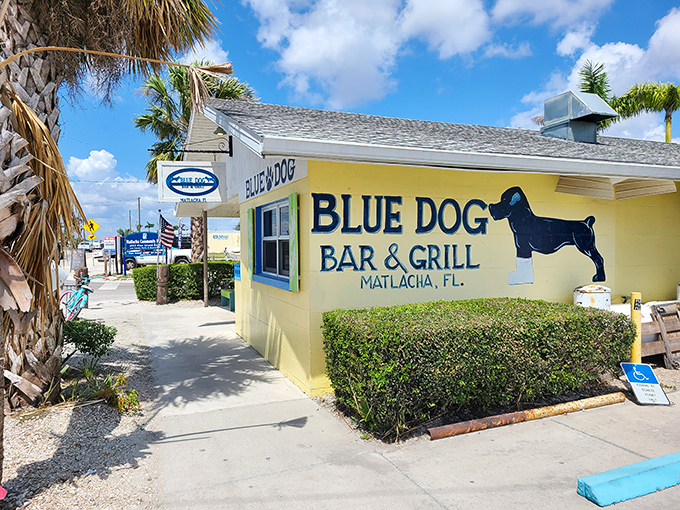 Bright blue trim and a canine mascot welcome pie-seekers to this waterfront spot where seafood meets sweet endings.