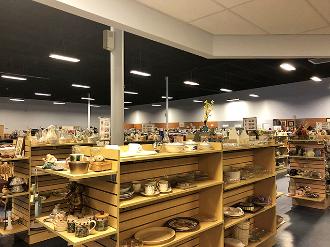 Those neatly arranged shelves hold more potential dinner party conversation pieces than a museum gift shop.