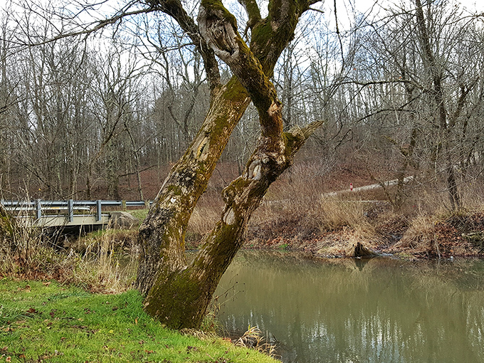 Tree-lined streets and quirky boutiques that make you wonder why you ever thought malls were convenient.