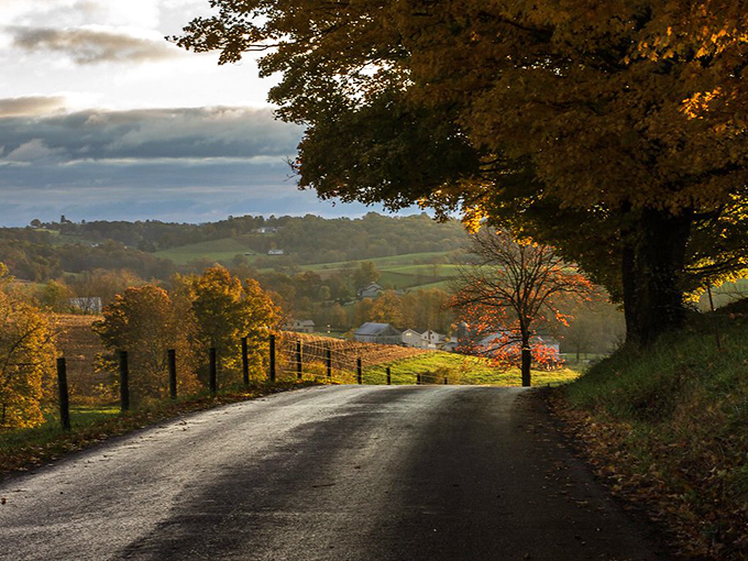 Autumn vibe on main street creates magic that no city skyline could ever hope to match perfectly.