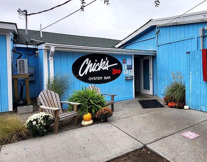 Fall vibes and seafood tides! Chick's seasonal decorations complement their year-round commitment to ocean-fresh delights.