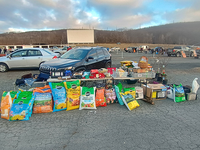 By day, a bustling flea market; by night, a silver screen under the stars. Circle Drive-In knows how to multitask!
