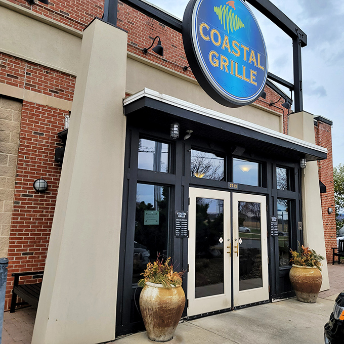 Behind those modern doors lies a seafood sanctuary where fresh catches meet expert preparation without any unnecessary fuss.