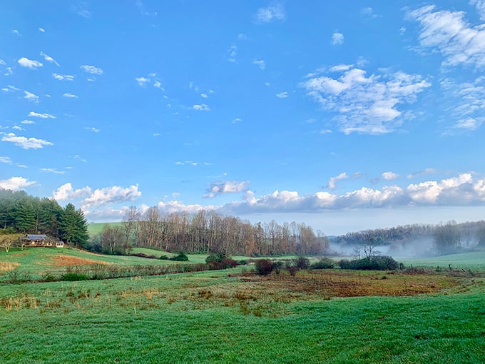 Floyd County's morning mist rises from green valleys, creating the kind of view that makes you pause mid-sip of coffee.