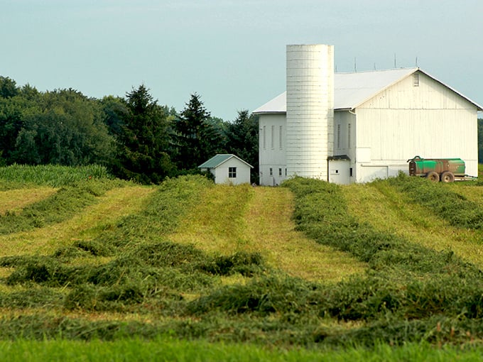 Farm fresh isn't just a marketing slogan here. Fredericksburg's pristine white barns and silos stand as monuments to agricultural tradition.