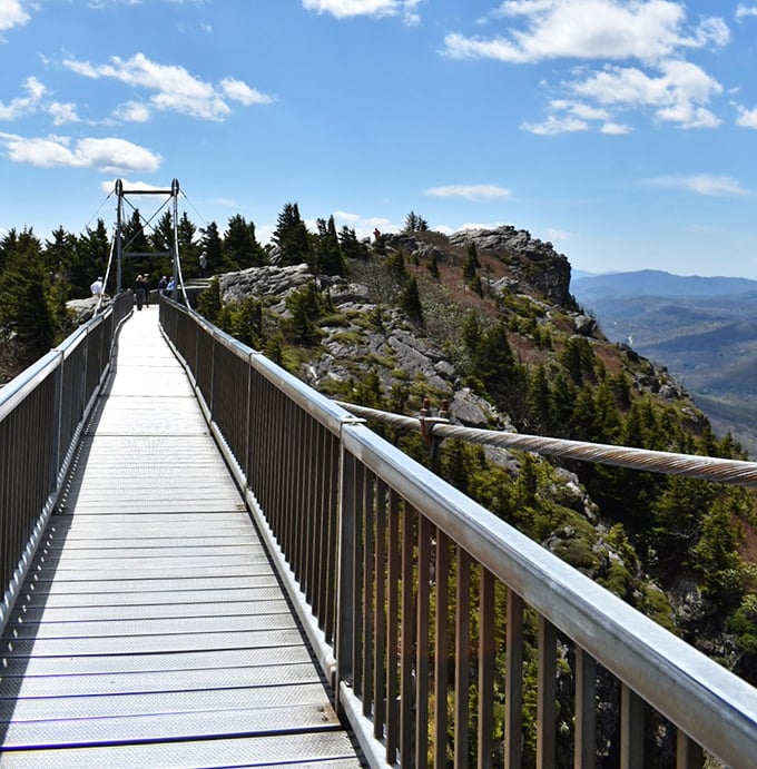 Engineering marvel meets natural wonder. The bridge to nowhere and everywhere offers thrills and panoramic mountain majesty.