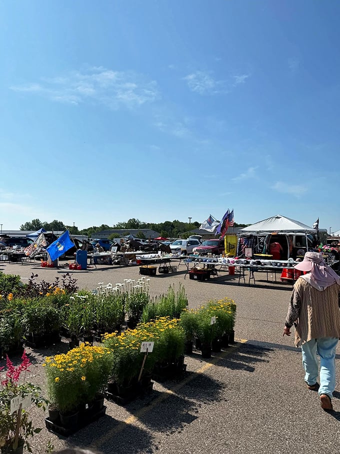 Rolling hills meet retail therapy - where else can farmland views enhance your flea market adventure?