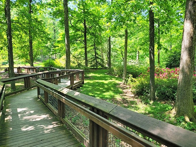 Holden Arboretum: Elevated walkways let you stroll among the treetops. It's the closest you'll get to feeling like a squirrel with a day pass.