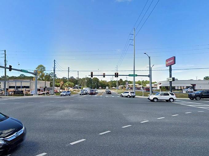 The road to affordable retirement might just lead to Homosassa Springs, where your Social Security check stretches like the open highway.