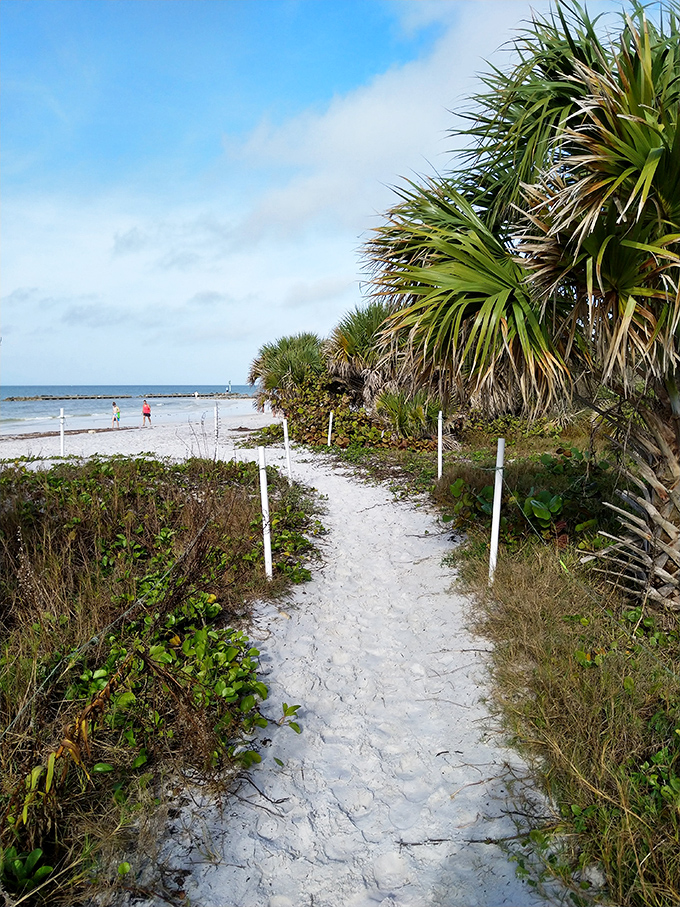 Boardwalk with a view! This wooden pier at Honeymoon Island State Park invites boaters to dock and landlubbers to fish—equal opportunity paradise.