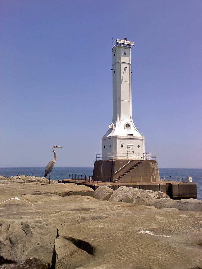 The white lighthouse stands like an exclamation point at the end of Huron's perfect waterfront sentence.