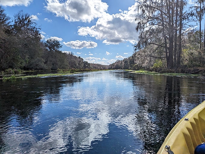 The original Florida water park! Ichetucknee Springs offers a six-mile tube ride without a single mechanical part.