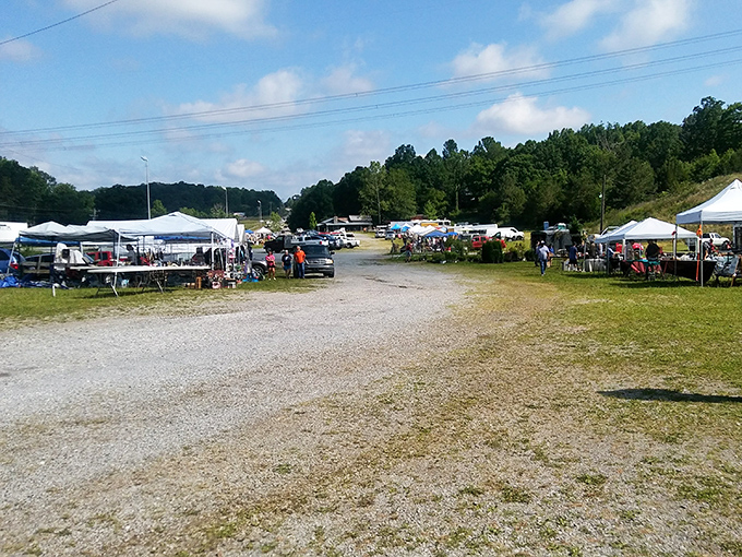 Where every table holds potential treasures. Shoppers navigate the gravel paths at Log Cabin Flea Market.