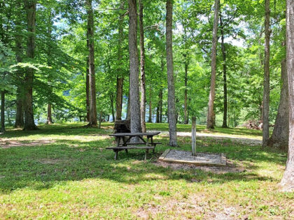 9 Unforgettable Day Trips That Will Make You Fall In Love With Indiana