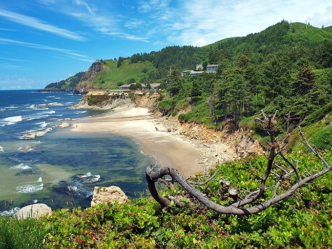Newport: A sheltered cove where forested hills meet gentle waves. The kind of beach that makes you want to build a driftwood fort.