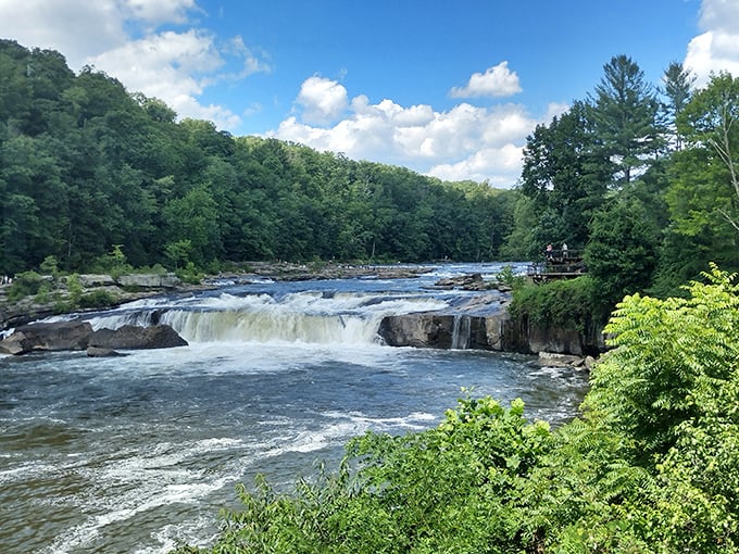 Feel the rush of nature at Ohiopyle, where cascading waterfalls, lush greenery, and blue skies create a breathtaking escape.