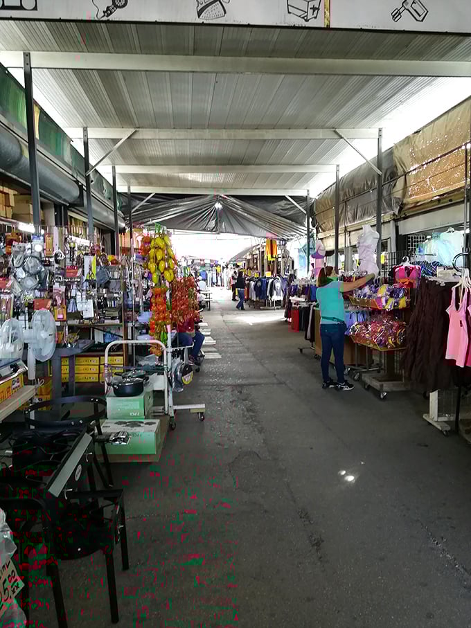 When the weather outside is frightful, Daytona's covered market is so delightful for year-round shopping sprees.