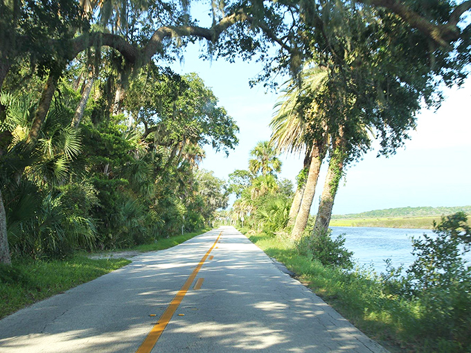 The road winds between river and ocean along the Ormond Loop, offering a buffet of landscapes for hungry eyes.