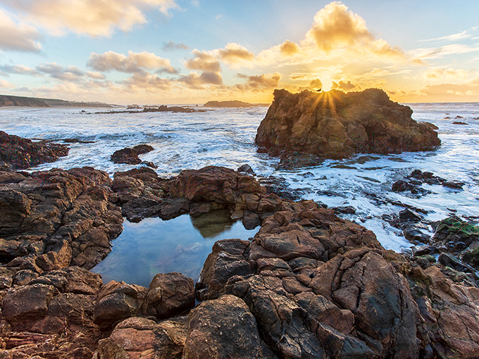 The rugged coastline near Pescadero offers nature's version of infinity pools, where ocean meets rock in dramatic fashion.