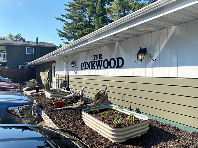 Those hanging flower baskets aren't just decoration – they're a hint at the careful attention to detail that makes the Pinewood special.