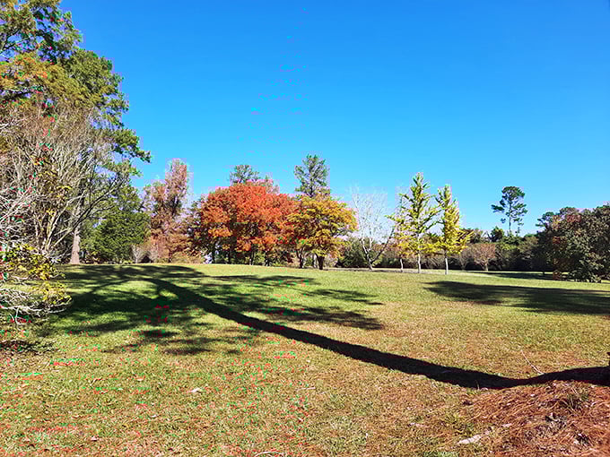 This peaceful garden fountain at Rose Hill offers a tranquil moment to contemplate the complex history of Georgia's plantation era.