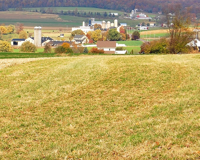 Strasburg's streets offer a perfect blend of historic charm and everyday life, where past and present dance together daily.