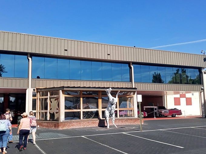 Classic American iron as far as the eye can see. This impressive lineup at Tallahassee Automobile Museum spans decades of automotive passion.