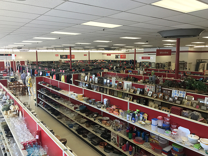 Inside The Salvation Army, treasures await on every shelf. One person's castoffs become another's perfect finds.