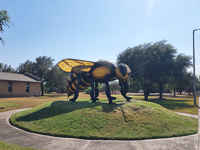 No need to run from this oversized insect. The world's largest killer bee statue creates quite a sting of excitement in Hidalgo.
