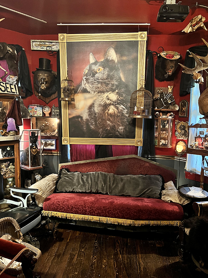 A regal cat portrait watches over Trundle Manor's collection of oddities. Even the decor has nine lives in this peculiar paradise!