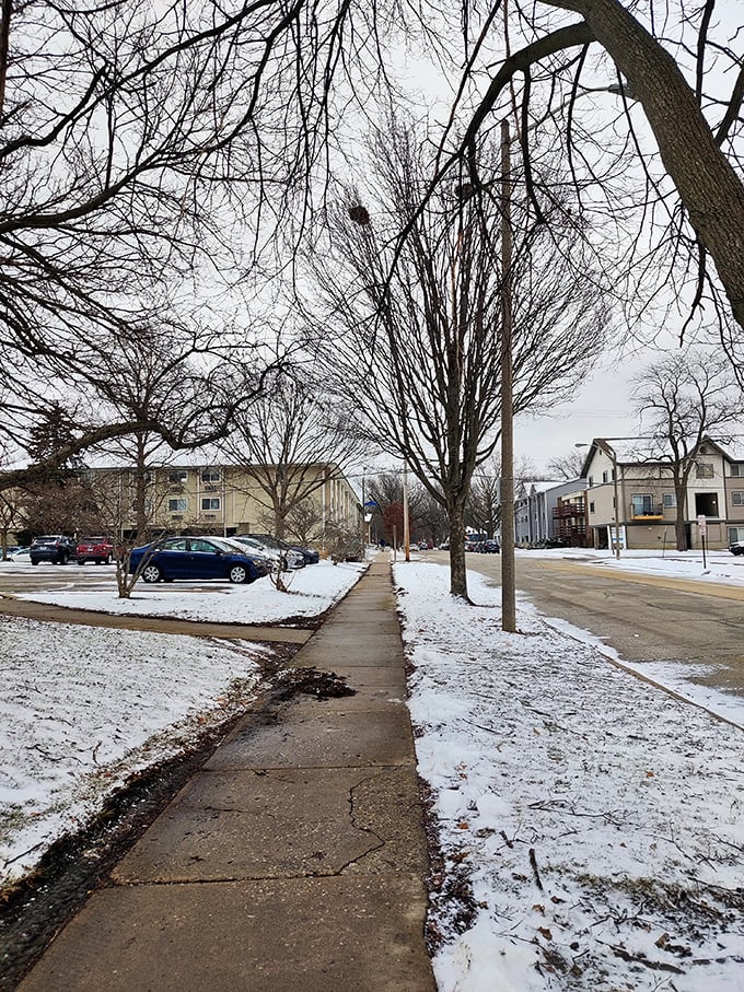 Winter in Urbana transforms ordinary sidewalks into peaceful snow-dusted pathways. Retirement goal: walks without rushing!