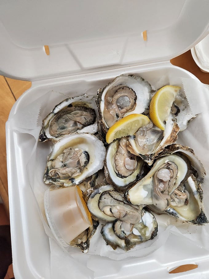 Nature's perfect appetizer. These glistening oysters are just waiting for a squeeze of lemon and a moment of appreciation.