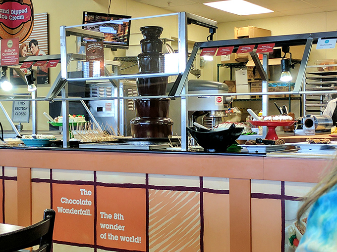 The chocolate fountain &ndash; eighth wonder of the world according to sugar enthusiasts &ndash; stands ready for strawberry sacrifices and marshmallow baptisms.