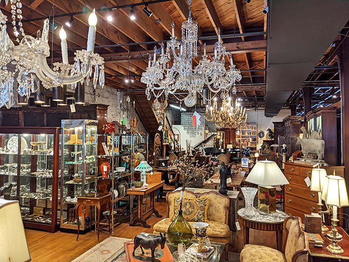 Chandeliers that have witnessed more interesting conversations than most people. Below them, the perfect setting for antique hunters to debate Victorian versus Edwardian styles.