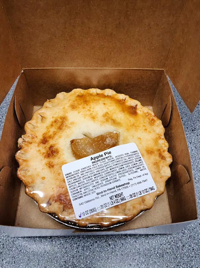 Apple pie with a golden-brown crust that whispers, "I was made by someone who actually cares about your happiness."