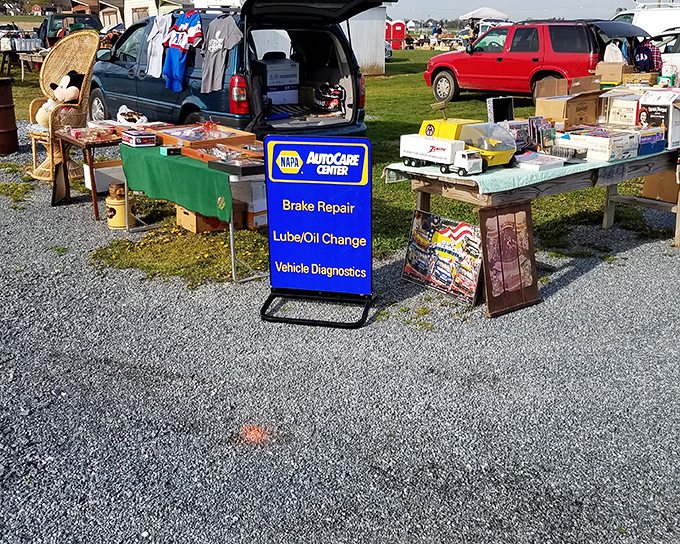Even old auto repair signs find new purpose here. One shopper's discarded garage decoration becomes another's perfect man-cave wall art. 