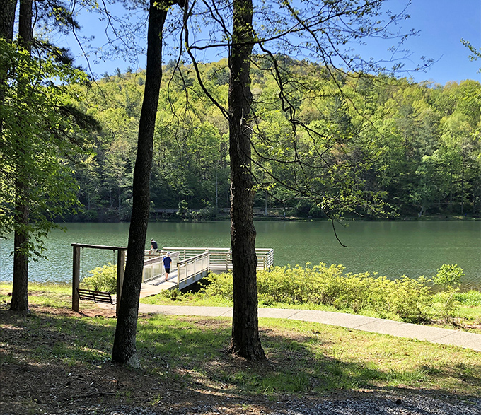 The lake's wooden pier invites contemplation so profound you might accidentally solve life's mysteries while watching ripples spread.