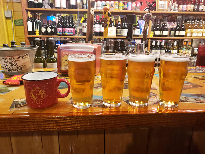 Beer flight paradise! Four golden glasses lined up like soldiers, ready to complement whatever sandwich masterpiece you've chosen.