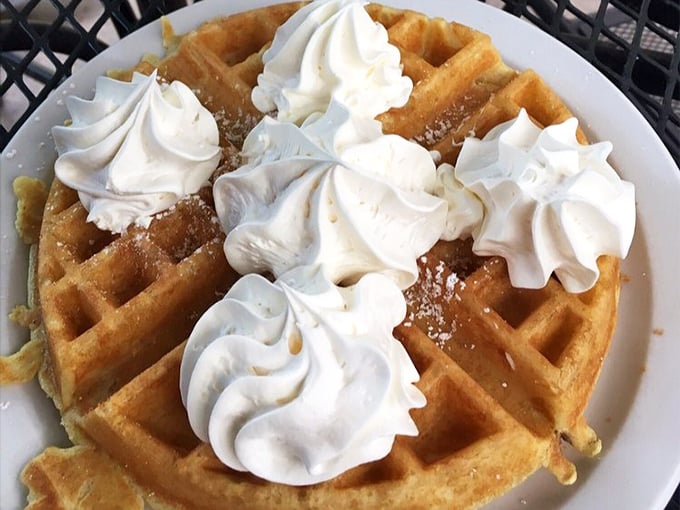 Belgian waffles crowned with whipped cream dollops like fluffy clouds on a golden landscape. Breakfast or dessert? Why choose?