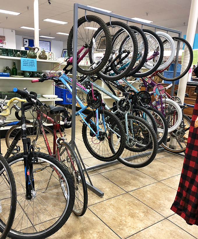 Bicycle enthusiasts, rejoice! From beach cruisers to mountain bikes, your next two-wheeled adventure is priced to roll.