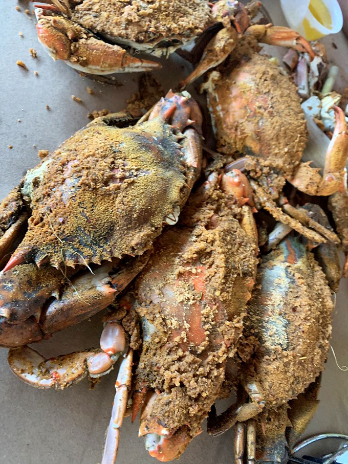 Old Bay-crusted blue crabs—the reason paper towel rolls were invented. These beauties are what dreams and messy shirts are made of.