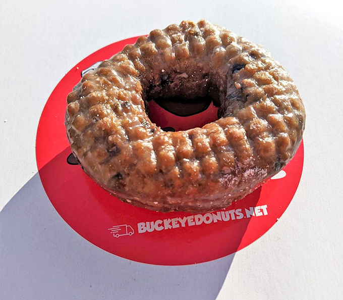 "A campus tradition since 1969" proclaims the bag, but this apple fritter speaks for itself&mdash;a glistening, glazed testament to donut artistry.