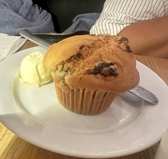 A muffin that actually tastes like blueberries instead of blue-flavored chemicals, served with a side of butter because why stop now?