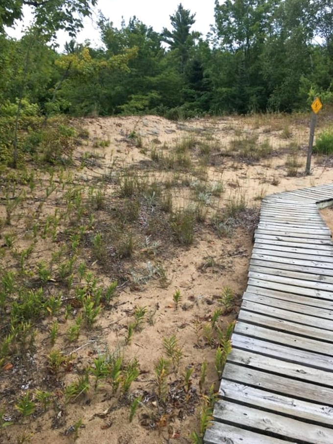 Nature's boardwalk through shifting sands. This wooden pathway protects delicate dune ecosystems while giving your Instagram feed the upgrade it desperately needs.
